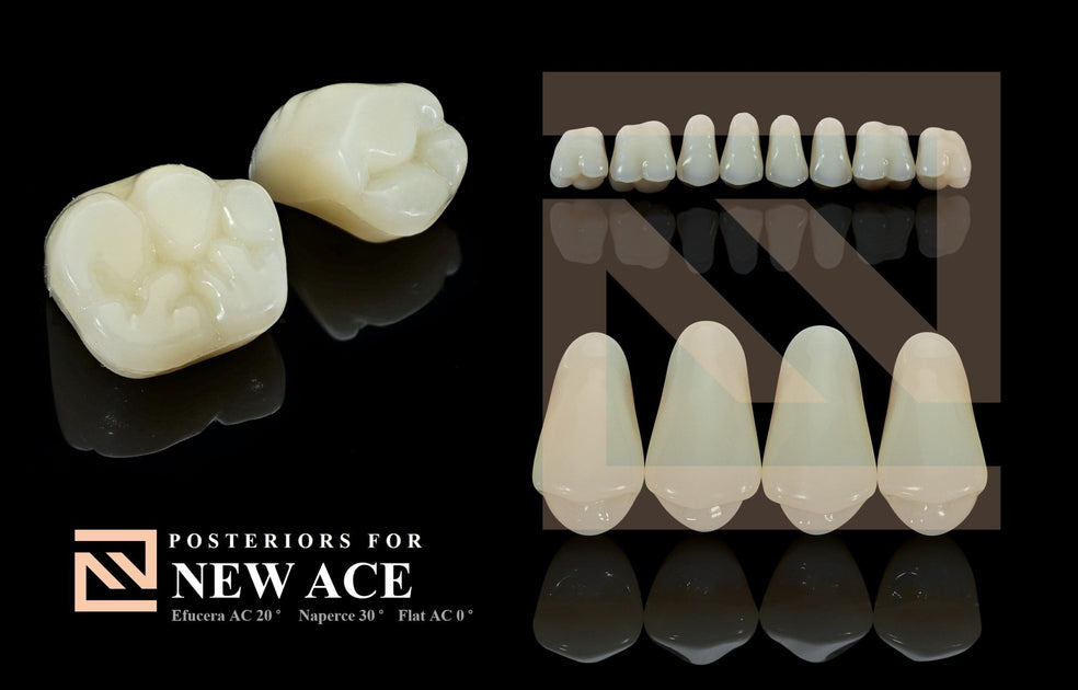 EFUCERA ACRYLIC POSTERIOR TEETH SHADE B3 - Yamahachi Dental Products USA